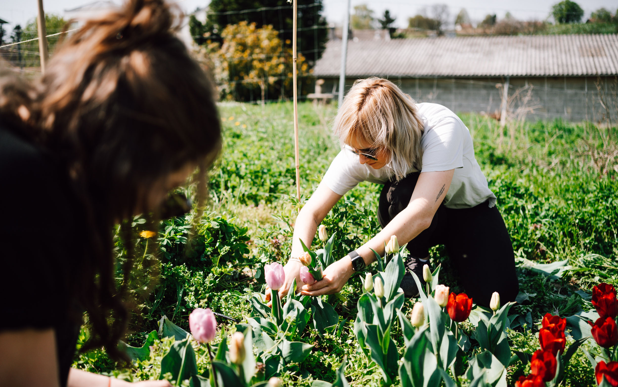 Flower Power – more appreciation for cut flowers - GOOD – The search ...