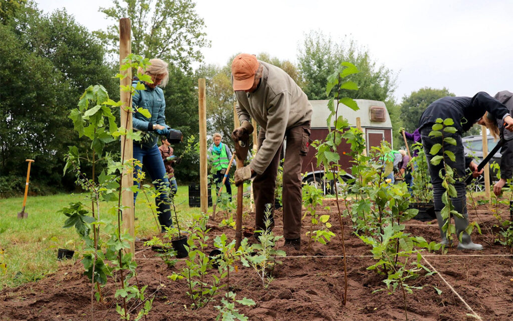 Citizens Forests – Empowering people to afforest urban areas - GOOD ...